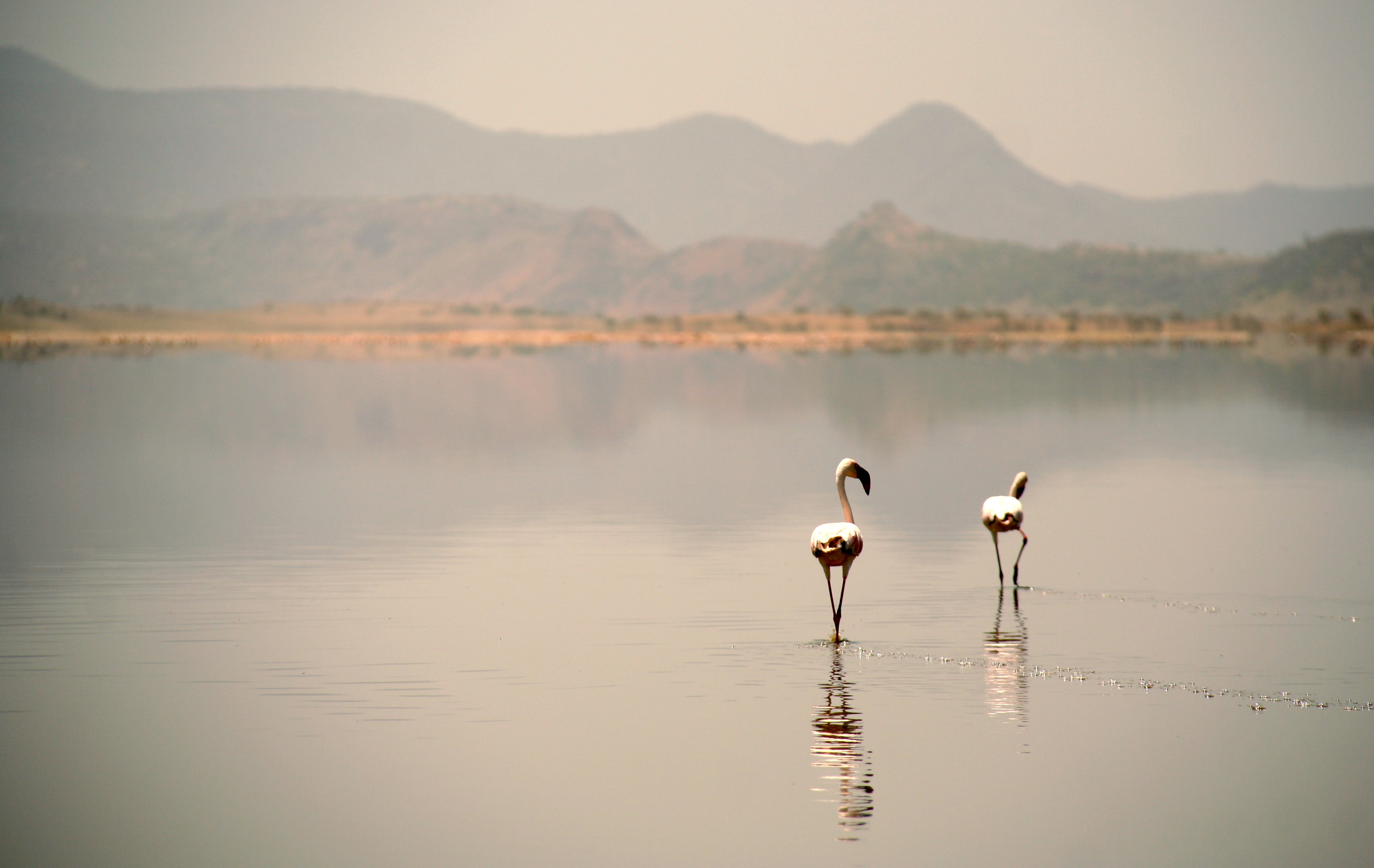 Photos – james reinl